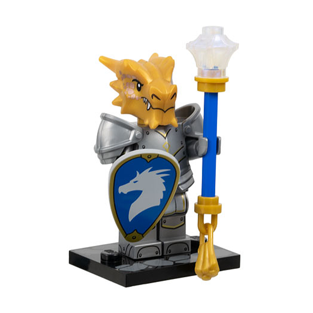 Dragonborn Paladin - Dungeons & Dragons - Bedrukjeblokje